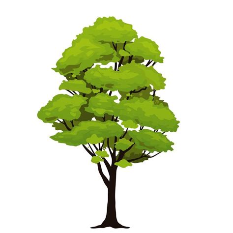 Premium Vector Different Tree Design Premium Vector Different Tree Design