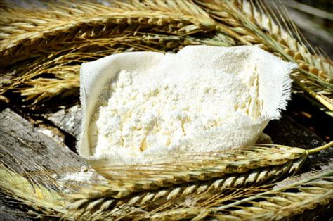 부드럽고 탄력 있는 밀가루 반죽 방법과 숙성시간 네이버 블로그