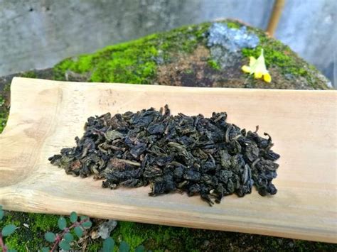 寒露秋茶飄香 每日頭條