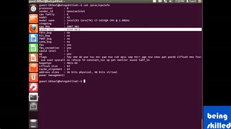 check cpu utilization in linux osewhy