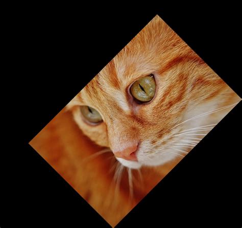 Image Rotation And Translation Using Opencv