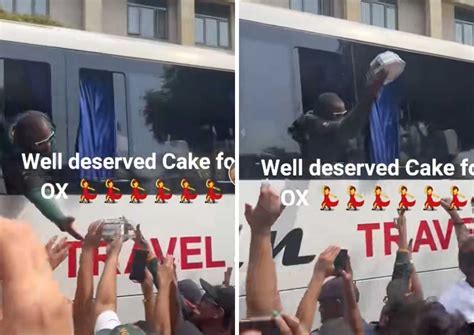 Let Him Eat Cake Fan Ts Ox Nche A Delicious Dessert [watch]