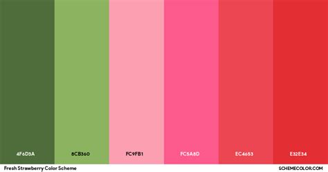 Strawberry Color Wheel