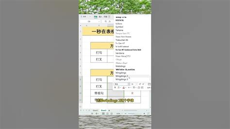表格内打勾打叉 办公技巧 每天学习一点点 Excel 职场 文员 办公技巧 Excel技巧 Youtube
