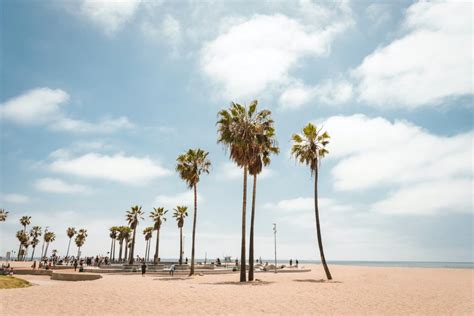 Los Angeles Quand Partir Que Voir Et Que Faire à Los Angeles Etats