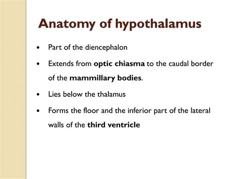 SOLUTION Hypothalamus And Its Functions Studypool