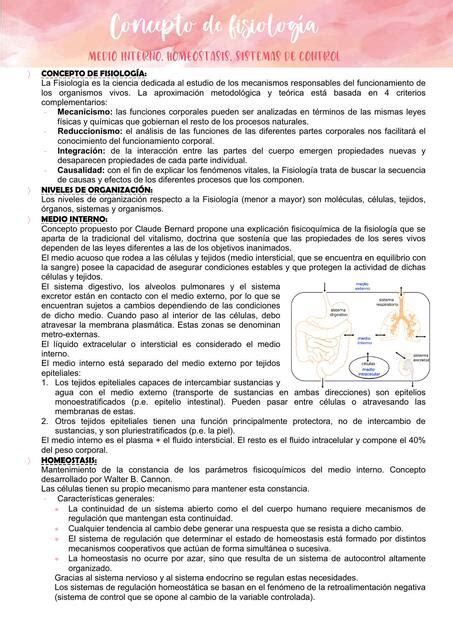 Medio Interno Homeostasis Sistemas De Control Paula Reyes Pulido Udocz