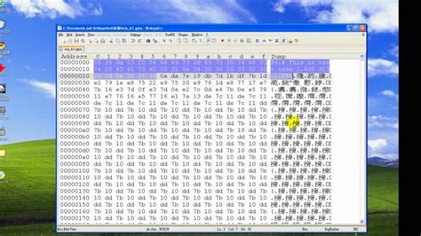 melakukan editing binary code dengan notepad slot online terpercaya
