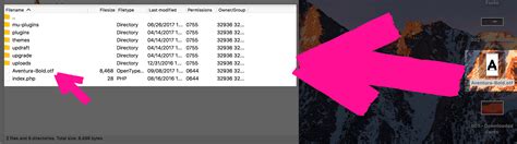 How To Use Downloaded Fonts In Wordpress Without A Plugin