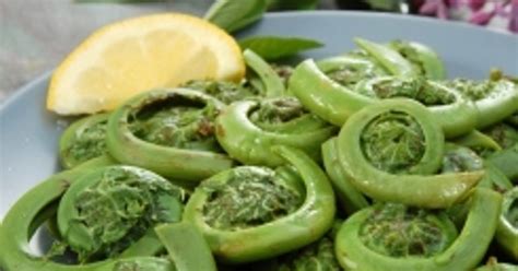 The Health And Culinary Benefits Of Fiddleheads Facty Health