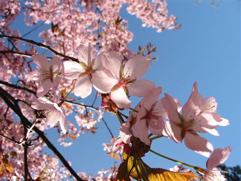 spring localfoody blog