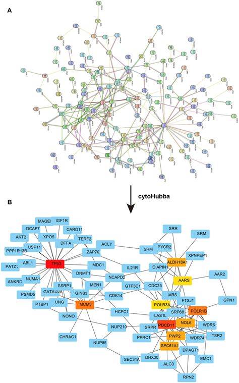 Ppi Network Analysis A Ppi Analysis For All Degs Network Nodes Download Scientific Diagram