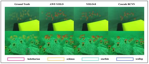 AWF YOLO Enhanced Underwater Object Detection With Adaptive Weighted Feature Pyramid Network