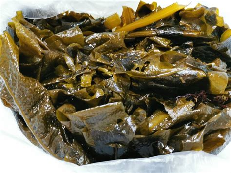 お前はどこのワカメじゃ？｜ヂッチのブログ｜ケンヂッチ日記 みんカラ