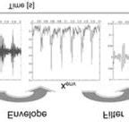Envelope Analysis Scheme Download Scientific Diagram