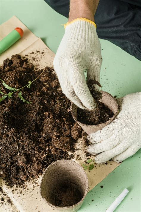 Simple Comprehensive Guide To Home Composting For Plants