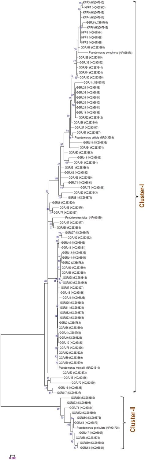 The Multiple Sequence Alignment Was Done In Clustalw Program Embedded