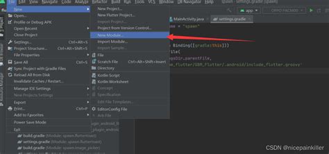 Flutter Application 转 Module 嵌入原生 Appflutter Application转成module Csdn博客