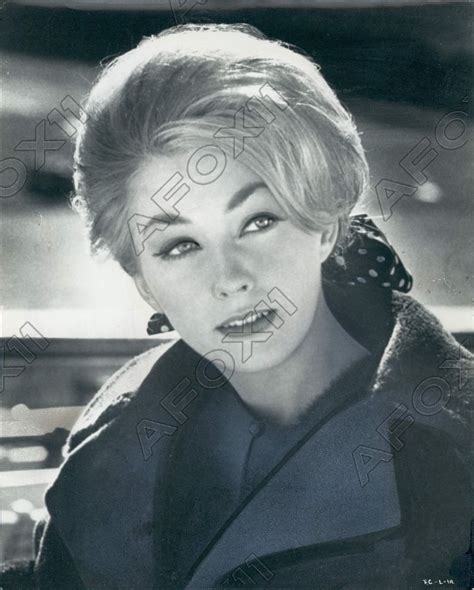 Actress Judi Meredith 60 Photos Moonagedaydreamfilm
