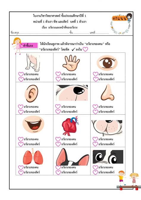 ใบงานวิทยาศาสตร์ ป 1 หลักสูตรใหม่ วิทยาศาสตร์ ครูโบ้