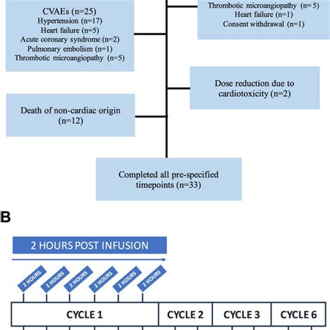 Flow Chart And Timeline Of The Study A Flow Chart B At Each Timepoint Download Scientific