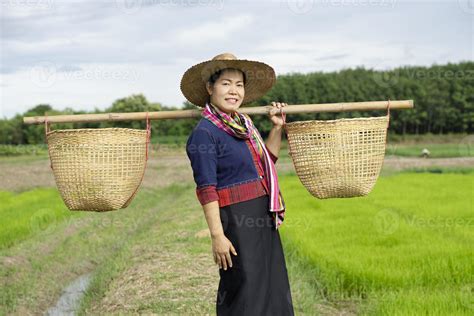 Portrait Of Asian Woman Farmer Is At Paddy Field Carry Two Baskets On