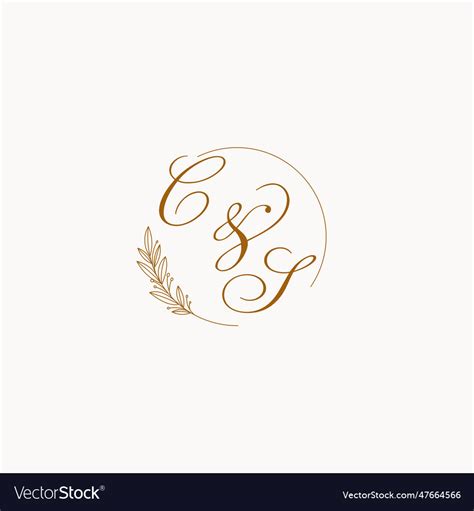 Initials Cs Wedding Monogram Logo With Leaves Vector Image