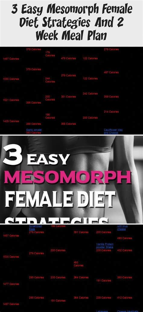 Diet Plan Ecto Mesomorph Dolffl