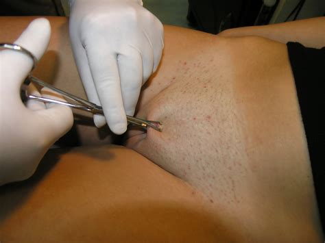 Bulgarian Female Genital Piercing Porn Pictures Xxx Photos Sex Images