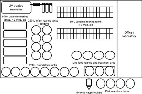Shrimp Hatchery Design