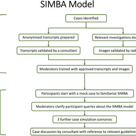 flowchart illustrating the key stages of the simba simulation model