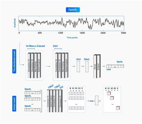 Automatic Sleep Scoring Shaping Future Of Sleep Health