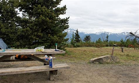 Deer Park Campground Olympic National Park Alltrips