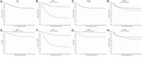 The Five Year Observed Survival Rates Expected Survival Rates And