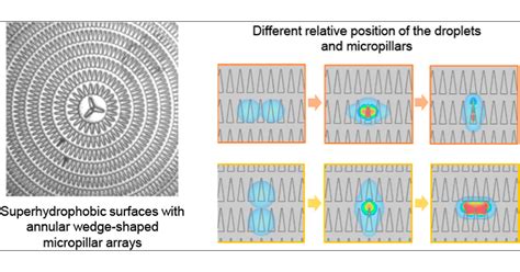 Coalescence Induced Droplet Jumping On Superhydrophobic Surfaces With Annular Wedge Shaped