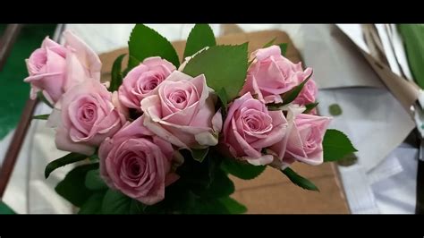 헤라 생화 꽃집 꽃집창업 꽃값 온라인꽃시장 온라인꽃도매 인터넷꽃시장 인터넷꽃도매 서울꽃시장 꽃농장 꽃배송 생화배송 생화도매 생화택배 꽃배달 생화배달 생화주문 생화부케