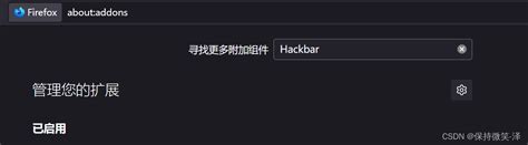 渗透测试 浏览器插件 hackbar的安装与使用教程 阿里云开发者社区