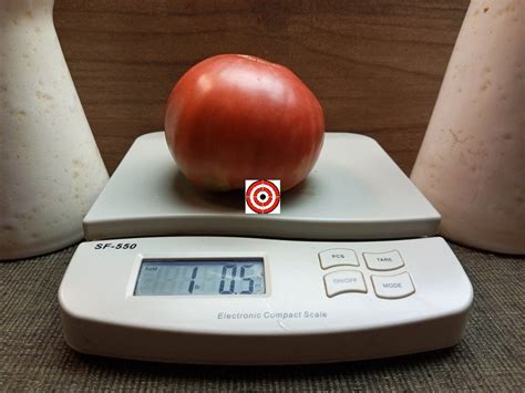 R W Cephei Tomato Seeds For Sale At Bounty Hunter Seeds