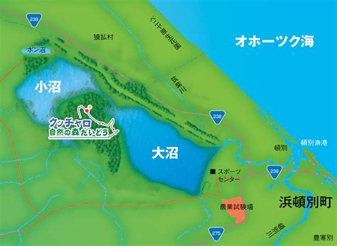 クッチャロ湖とは NPO法人クッチャロ湖エコワーカーズ