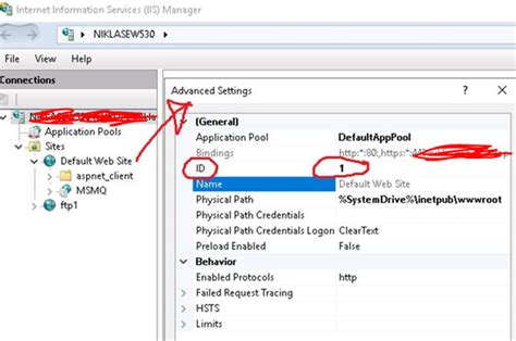 Windows Msmq Disable Error Stack Overflow