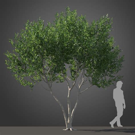 Archmodels Vol 210 Modelo 3d 120 Max C4d Fbx Obj Unknown Free3d