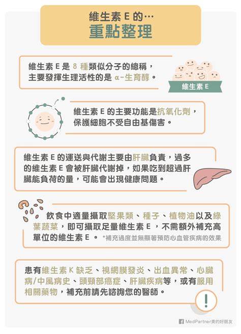 維他命e的功效和副作用有哪些？如何正確補充？ 美的好朋友