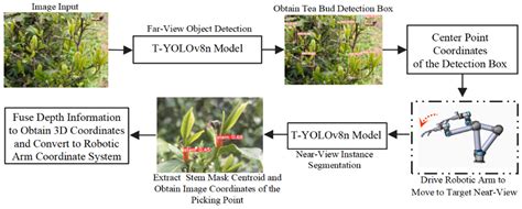 Vision Based Localization Method For Picking Points In Tea Harvesting Robots