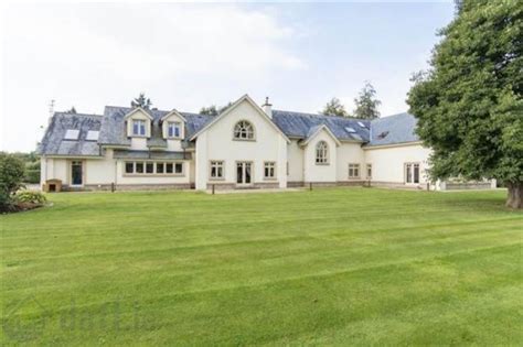 Daftie The Paddocks Located In Straffan Co Kildare Facebook