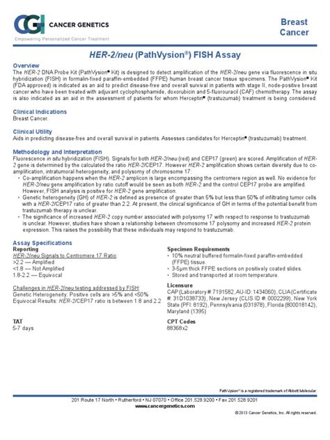 Her2 Fish Pdf Fluorescence In Situ Hybridization Molecular Biology