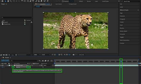 How To Use Opacity In After Effects