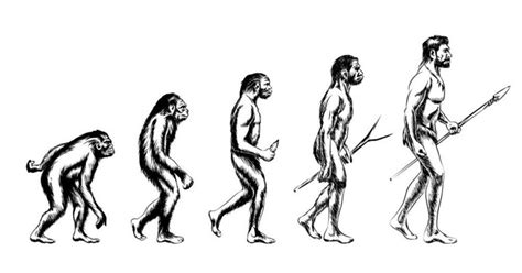 The Missing Link Human Evolution Solution Xolerprof