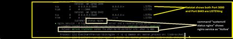 Also The Systemctl Status Nginx Command On The Esx Web Console Of Ta