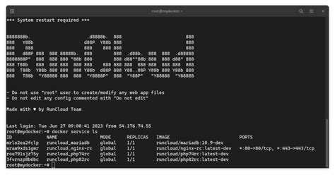 Understanding Docker Services RunCloud Docs
