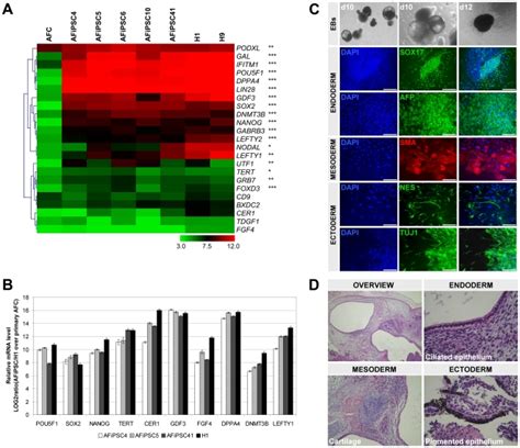 A Microarray Derived Gene Expression Levels Of Download Scientific Diagram